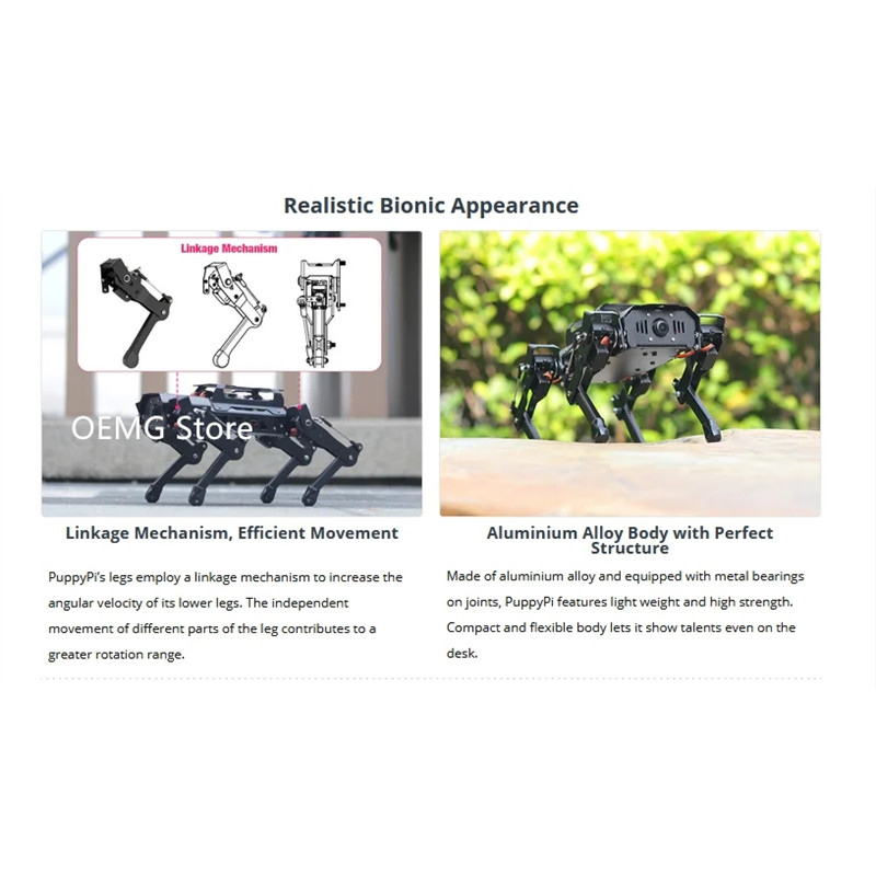 Jual Quadruped Robot with AI Vision Powered by Raspberry Pi ROS Open Source Robot Dog for ...