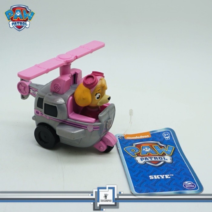 Jual PAW PATROL Value Rescue Racers Marshall Chase Skye Rocky Rubble ...