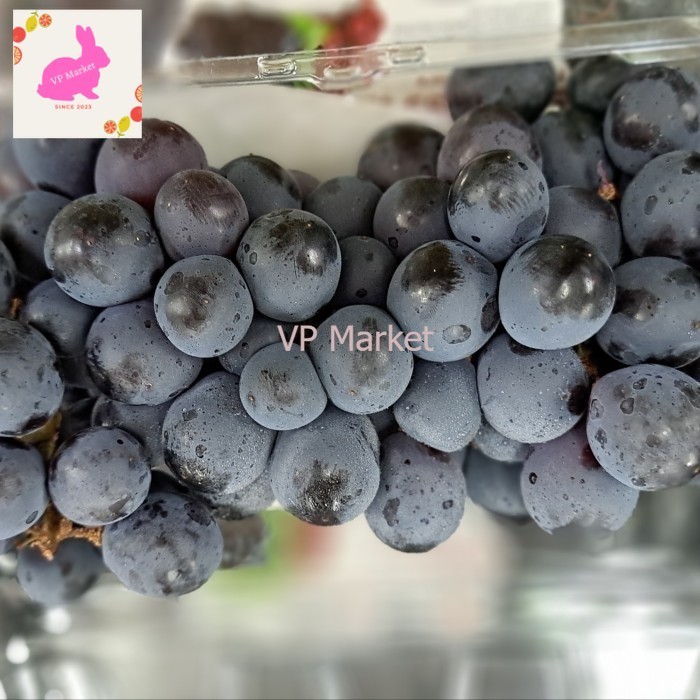 Jual Anggur Black Seedless Import 500 Grm | Shopee Indonesia