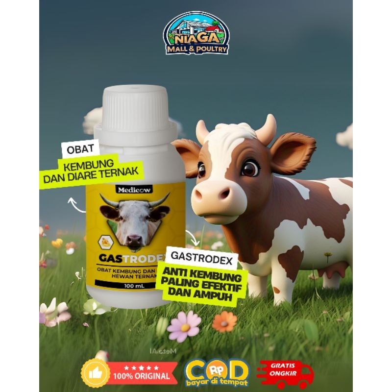 Jual Medicow Gastrodex Obat Kembung Untuk Sapi | Shopee Indonesia