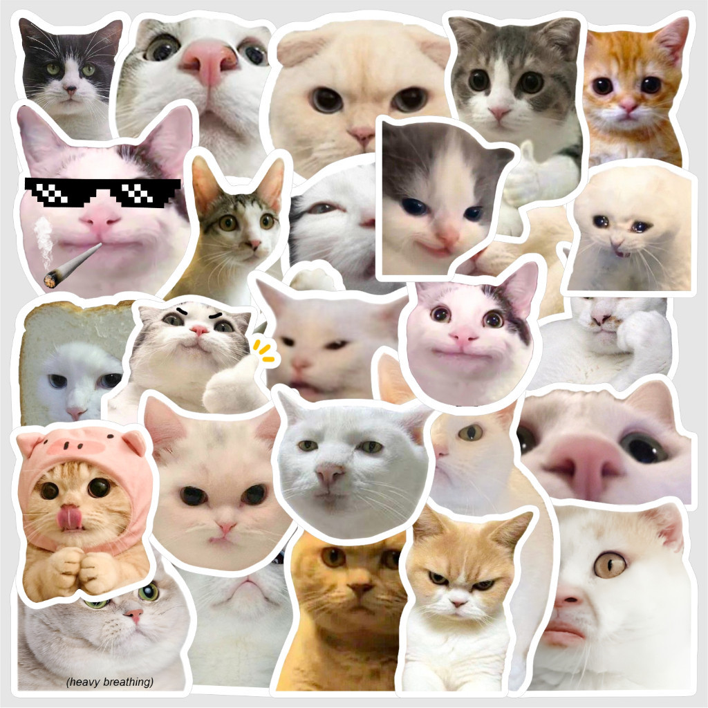 Jual 50 Pcs Sticker Pack Aesthetic Kucing Meme Lucu Sticker Whatsapp ...