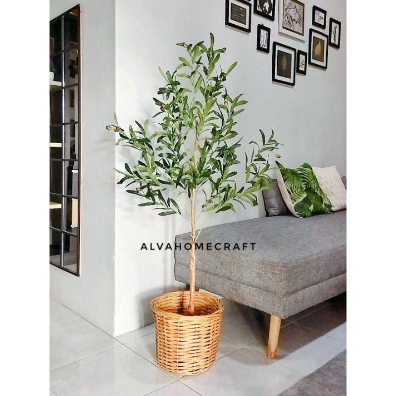 Jual POHON ARTIFISIAL OLIVE TREE DAN ECALYPTUS TREE | Shopee Indonesia