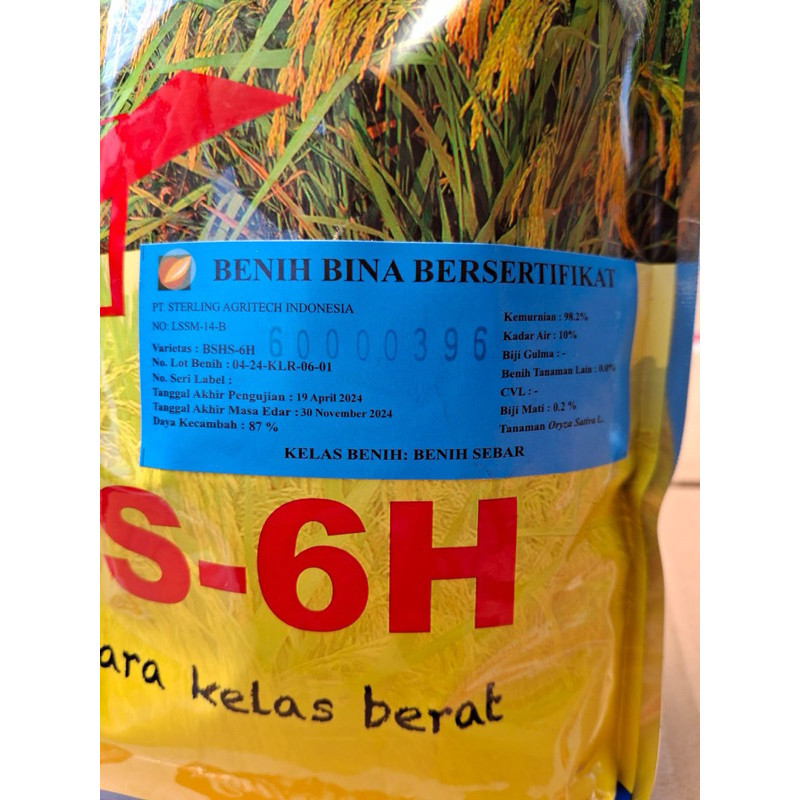 Jual BSHS 6H BSHS6H BS-6H BS6H 1kg EXP: 30 NOV 2024 sama MAPAN P05 ...