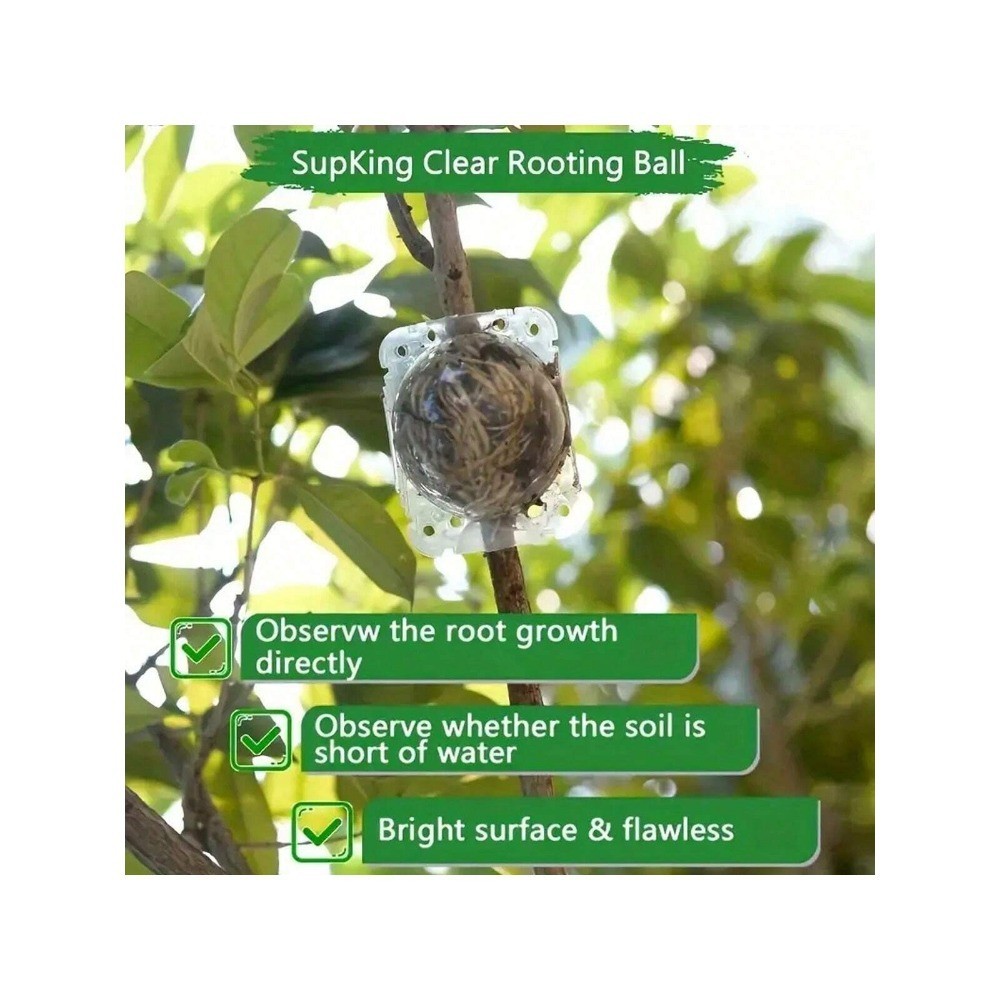 Jual 1pc Plant Root Grow Box, Reusable No Damage High Pressure Breeding ...
