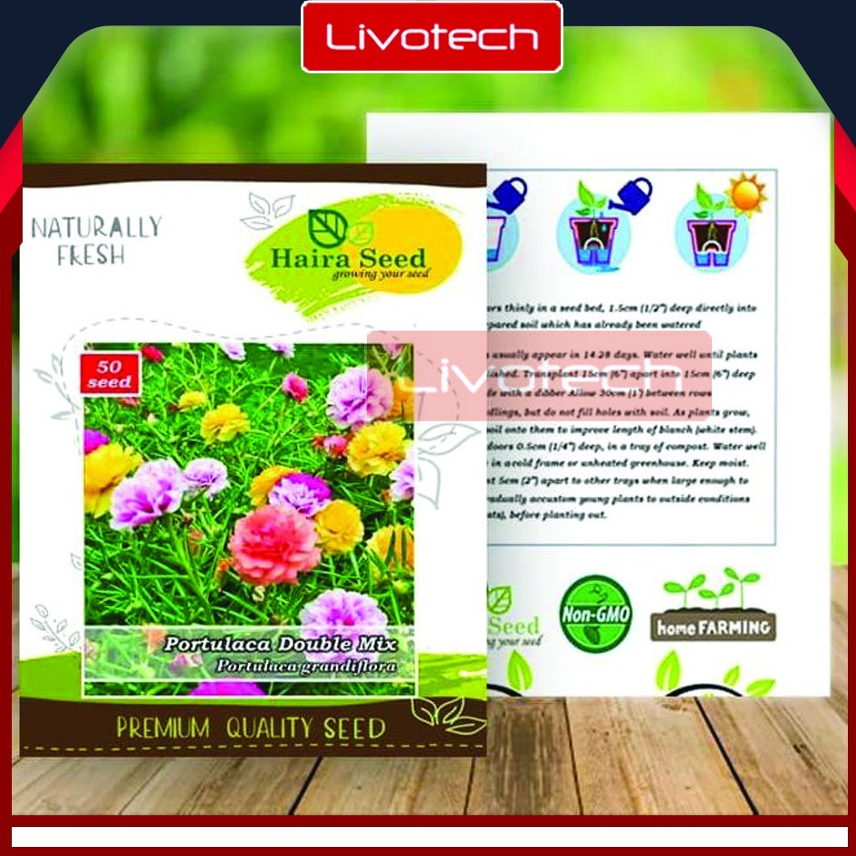 Jual GIFT Benih Bunga Moss Rose Krokot Portulaca Double Mix 50 Seed ...