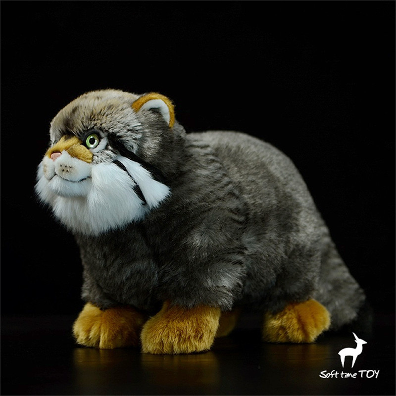 Jual Steppe Cat High Fidelity Pallas Cat Cute Plushie Manul Plush Toys ...