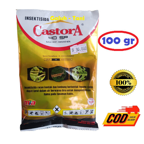 Jual CASTORA 40 SP - 100 Gram / Insektisida Hama Tanaman Kubis / Metomil 40% | Shopee Indonesia