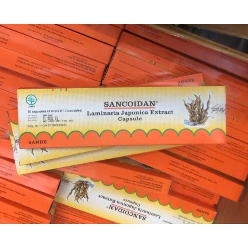 Jual Sancoidan box 30 kaplet | Shopee Indonesia