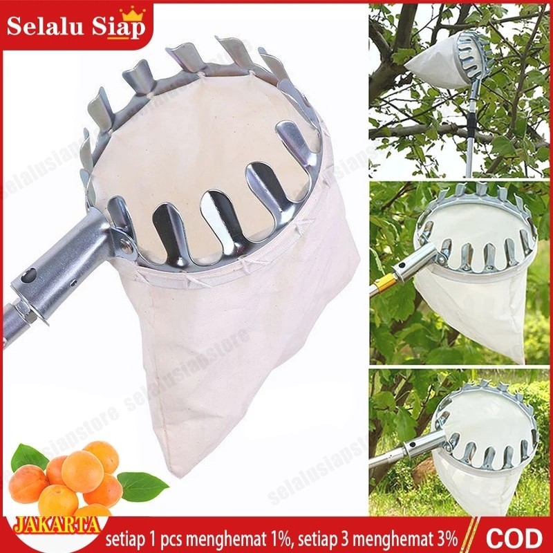 Jual Alat Pemetik Buah Mangga Tongkat Pemetik Buah Sekop Pemetik Buah ...