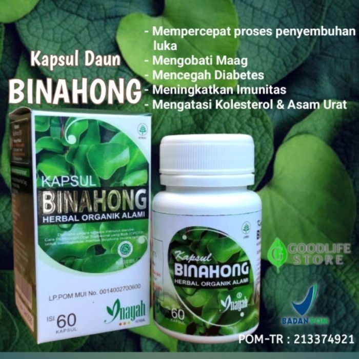 Jual original Kapsul Daun Binahong 1 box isi 60 kapsul ori100% asli herbal | Shopee Indonesia