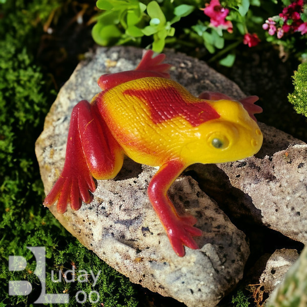 Jual Mainan Miniatur Katak Kodok Api 4 cm Frog 02 Figure Jenis Katak ...