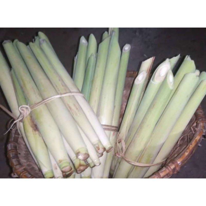 Jual promo 500 Gram Sayur Trubuk Tebu Sayur Trubuk Turubuk Endog ready ...