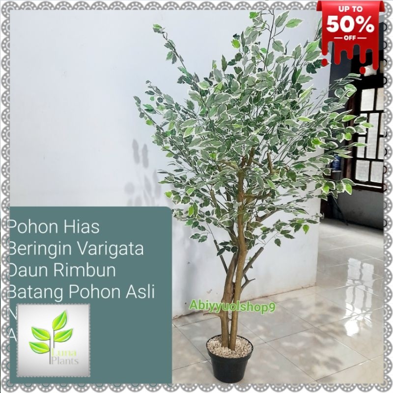 Jual NEW ARRIVAL Pohon Hias Artificial Beringin Varigata 2 batang pohon ...
