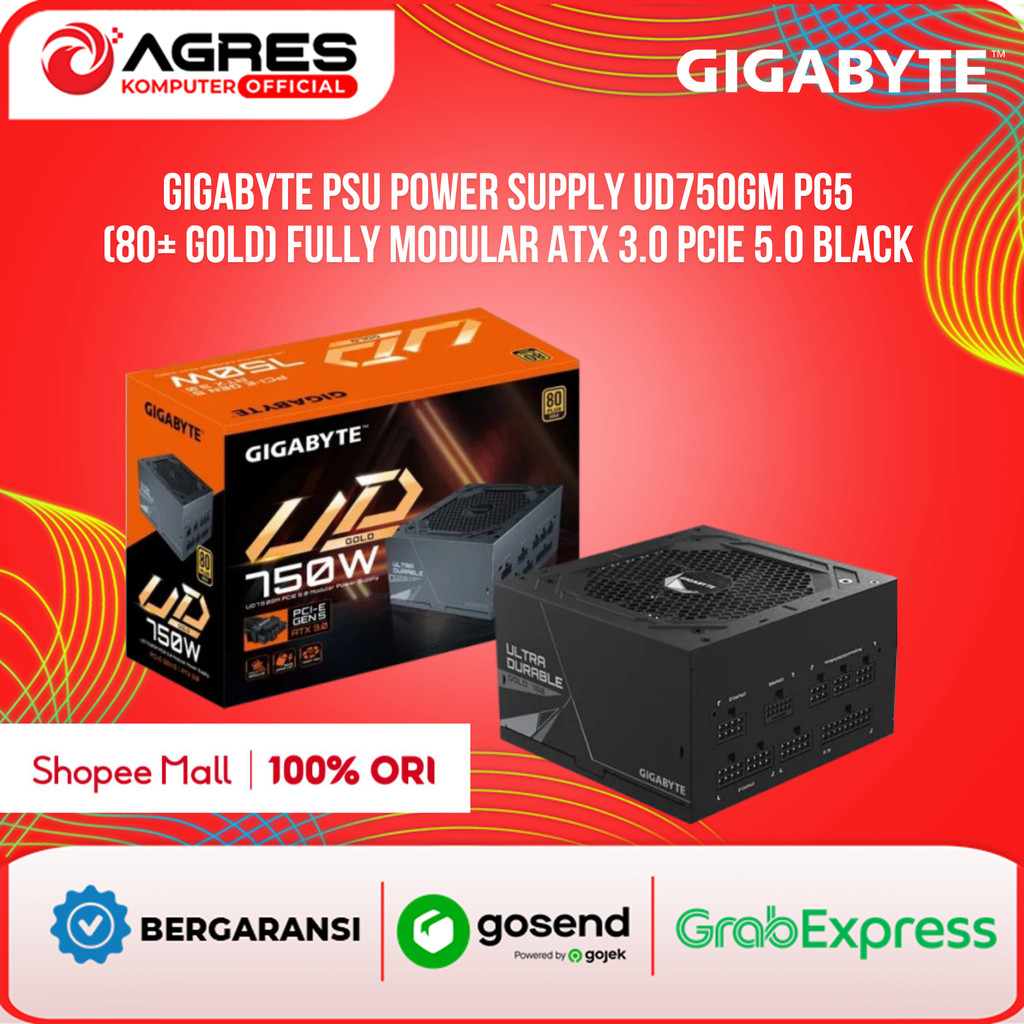 Jual GIGABYTE PSU POWER SUPPLY UD750GM PG5 (80+ GOLD) FULLY MODULAR ATX ...