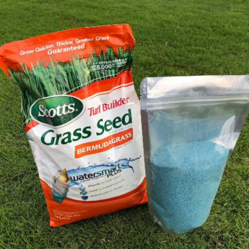 Jual Benih biji rumput jepang - bibit biji rumput jepang kemasan 500gr ...