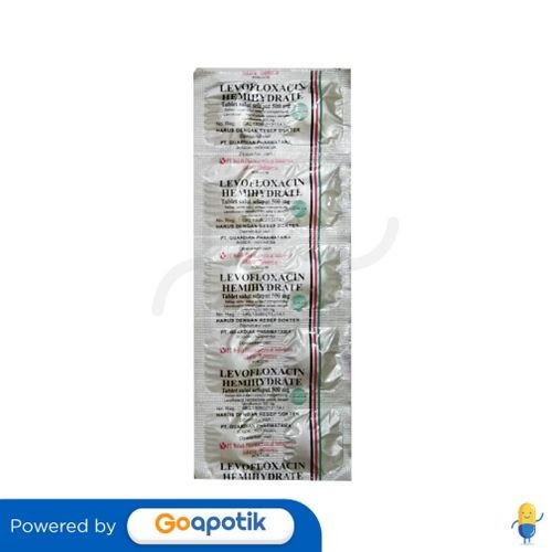 Jual Levofloxacin Nulab 500 Mg Strip 10 Tablet | Shopee Indonesia