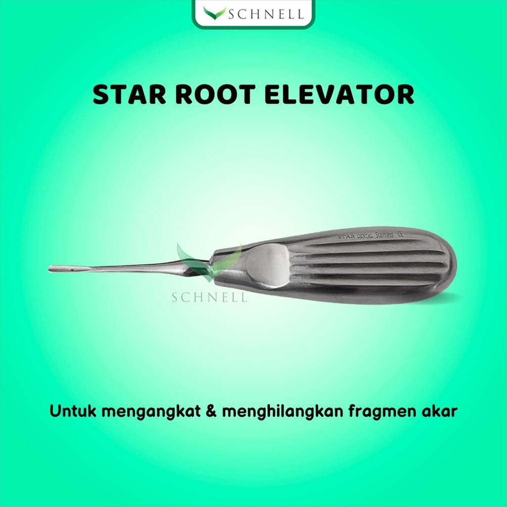 Jual Star Root Elevator Bein - Dental Instrument | Shopee Indonesia