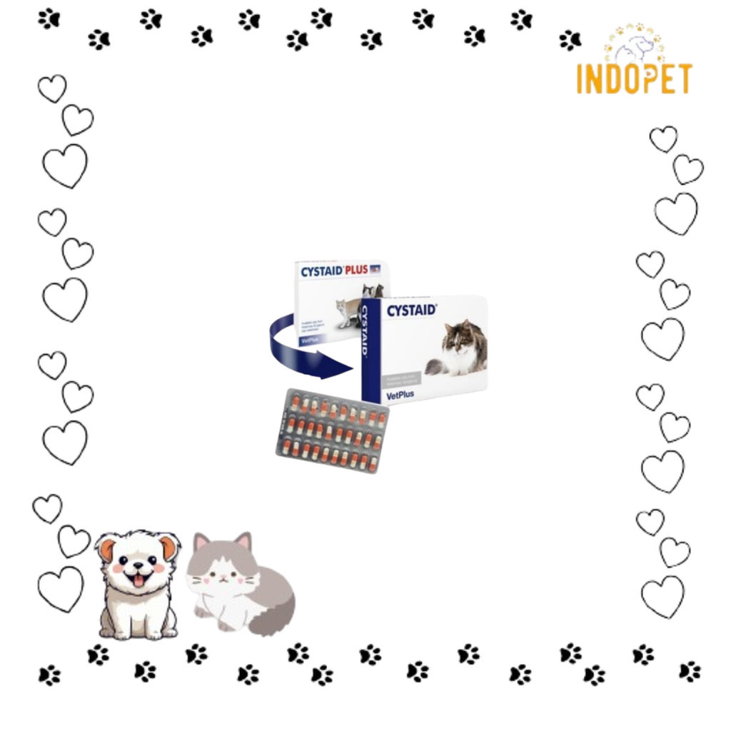 Jual CYSTAID CAT 7,53 30 TABLET | Shopee Indonesia