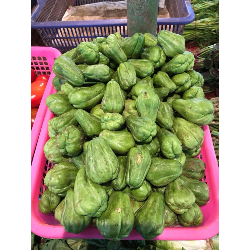 Jual LABU SIAM BABY LABU ACAR LABU LALAPAN 500G | Shopee Indonesia