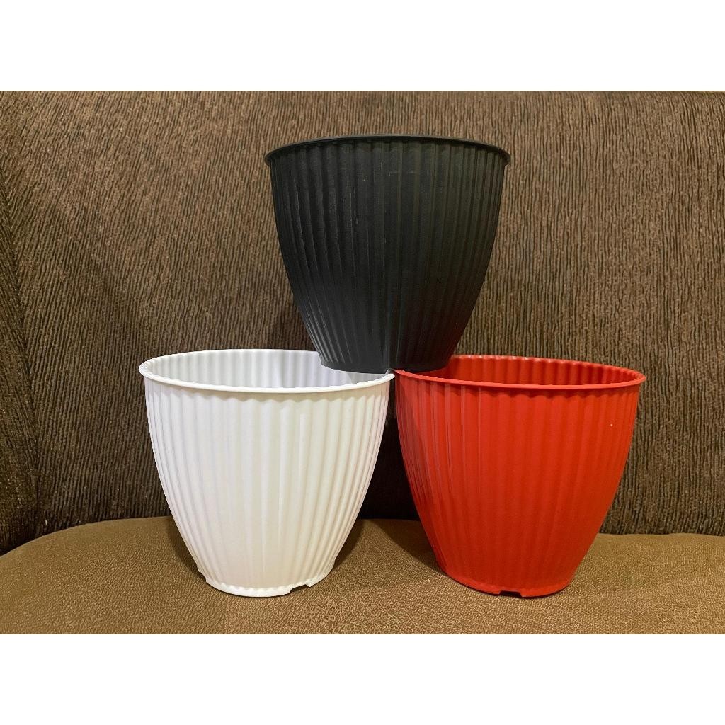 Jual PROMO TERMURAH Pot Kerang 15 Transparan Bening / Pot Zigo 15 / Pot ...