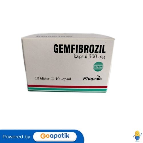 Jual Gemfibrozil Phapros 300 Mg Box 100 Kapsul | Shopee Indonesia