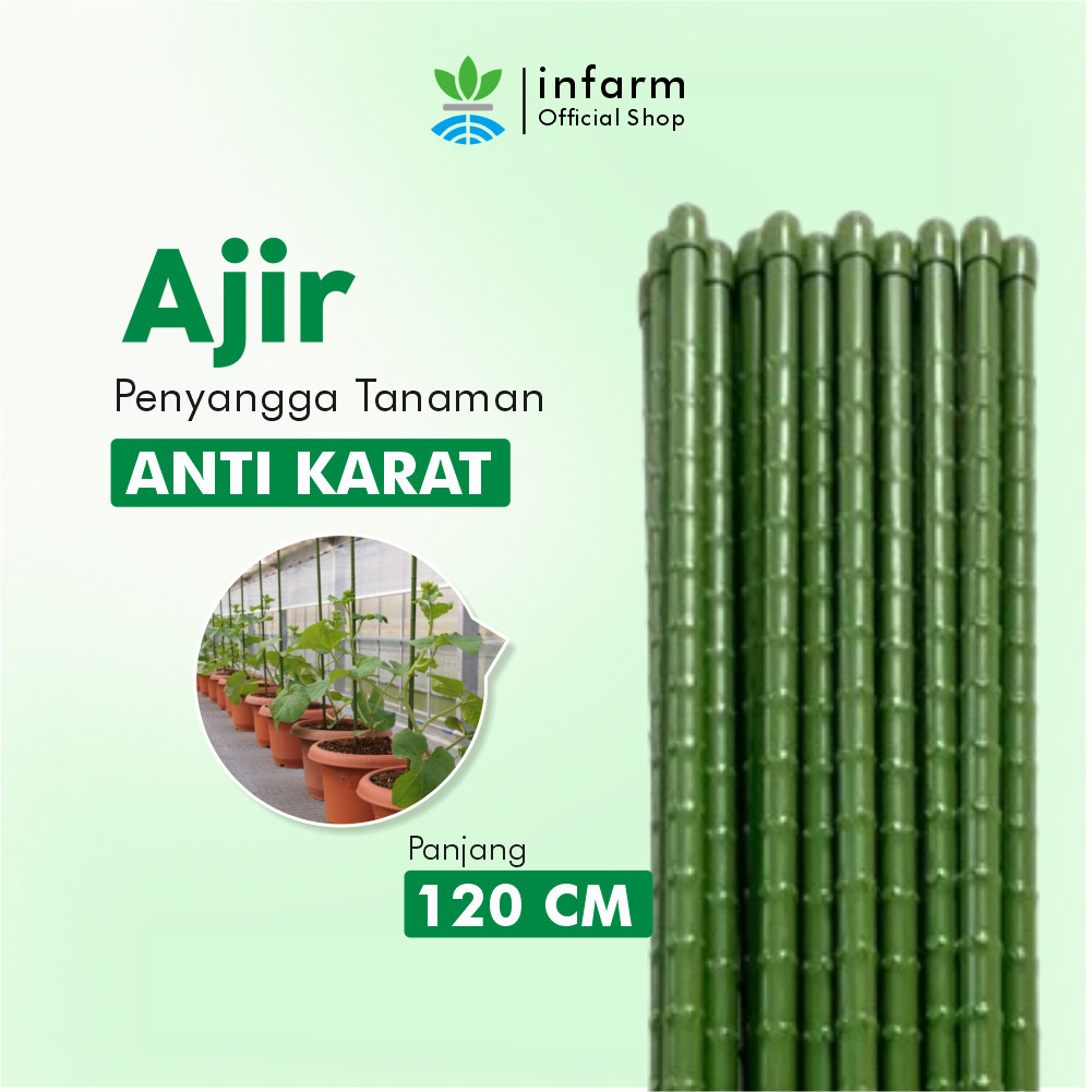 Jual INFARM - Ajir Penyokong Tanaman Lurus Tinggi 120 cm Takiron Ajir ...