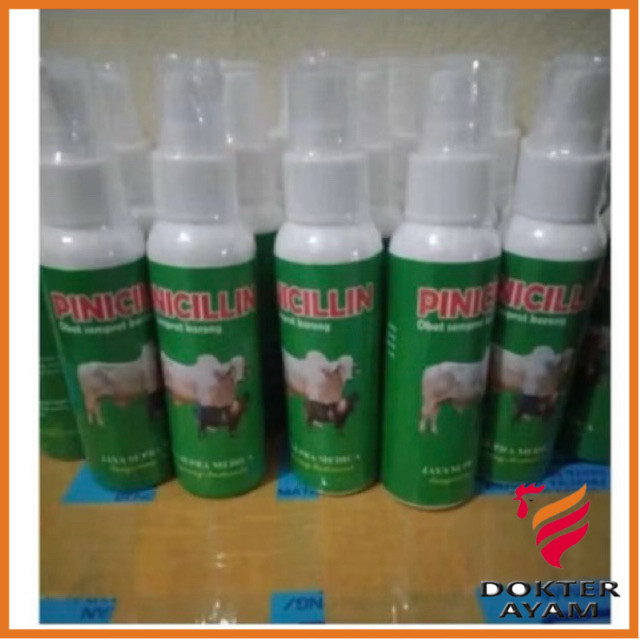Jual OBAT PENICILLIN SPRAY Obat Luka Dan Koreng Untuk Hewan Ternak ...