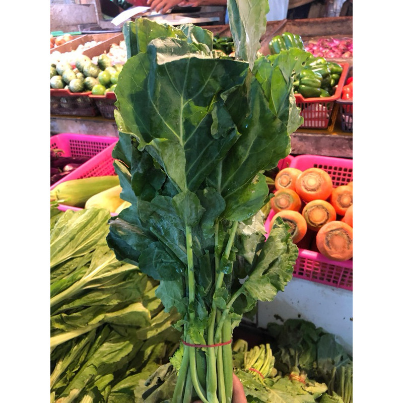 Jual BABY KAILAN 500G | Shopee Indonesia