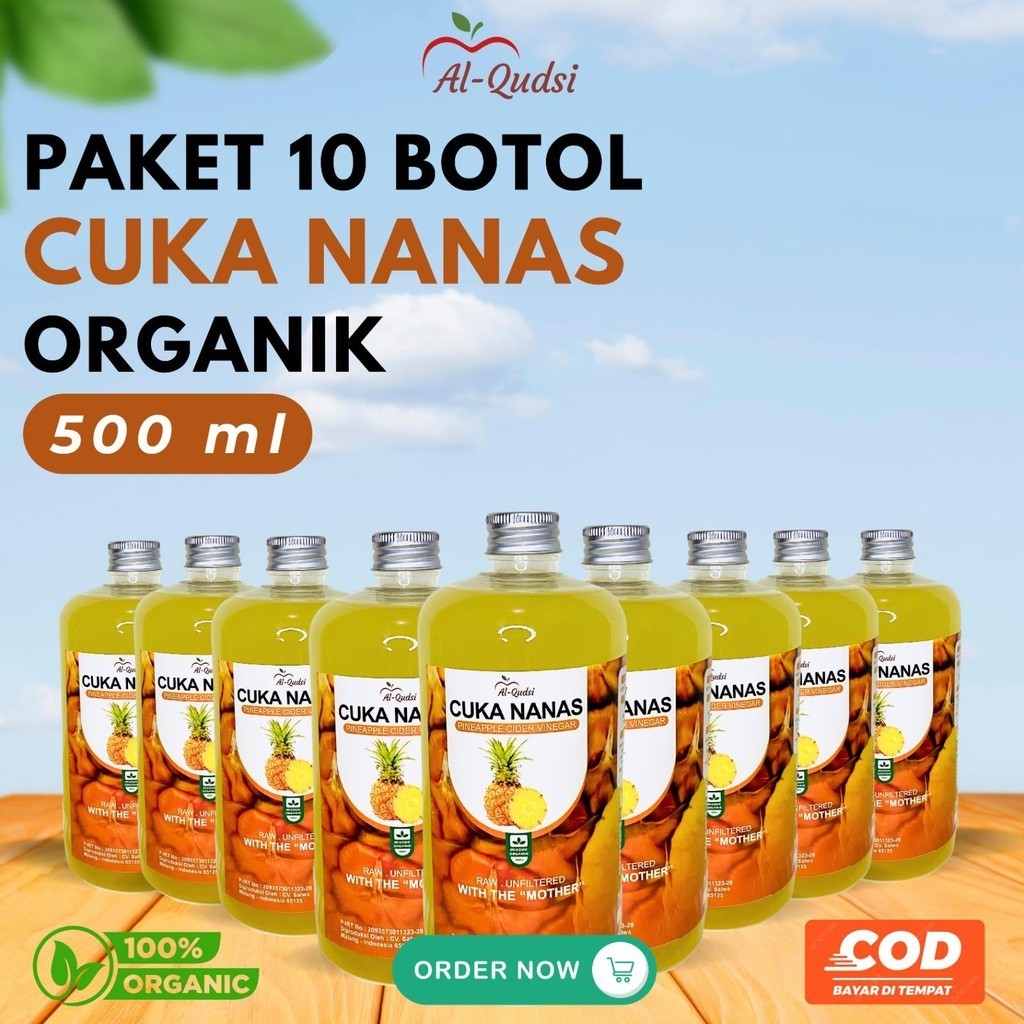 Jual Promo 10 Botol Cuka Nanas Al Qudsi Cider Vinegar With Mother ...