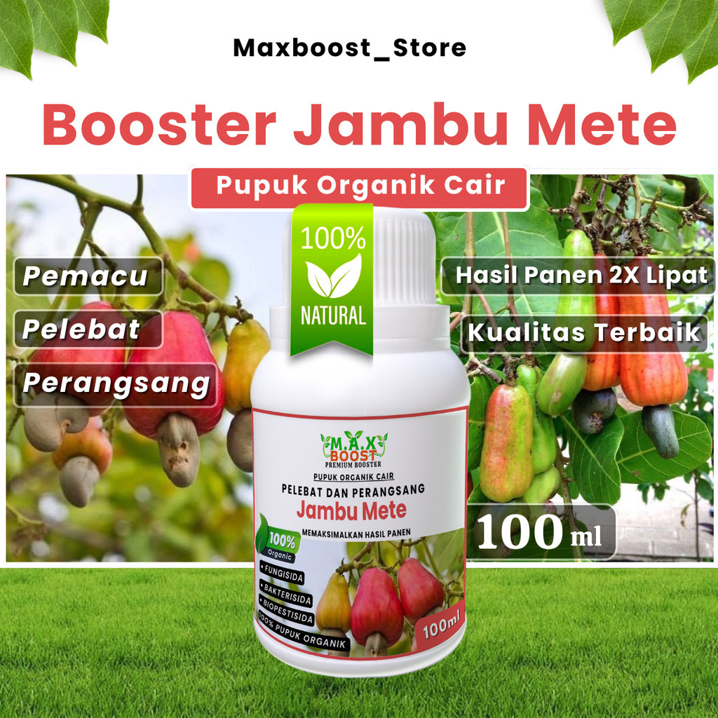 Jual Pupuk Organik Cair Jambu Mete, Booster Tanaman Jambu Mete 100ml, Poc Kompos Pelebat Pemacu ...