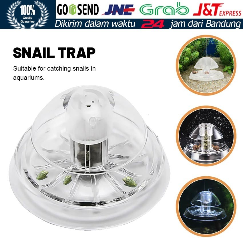 Jual Perangkap Pembasmi Hama Siput / Keong Pada Aquarium / Aquascape ...