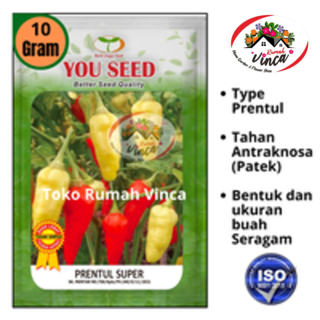 Jual Benih Cabe Rawit Setan PRENTUL SUPER 10g setara 2250 butir Youseed ...