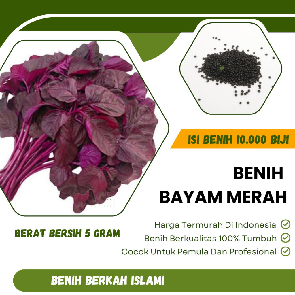 Jual HEMAT ISI 10000 BAYAM MERAH HIJAU BENIH Bibit Biji Sayur & Buah 5 ...