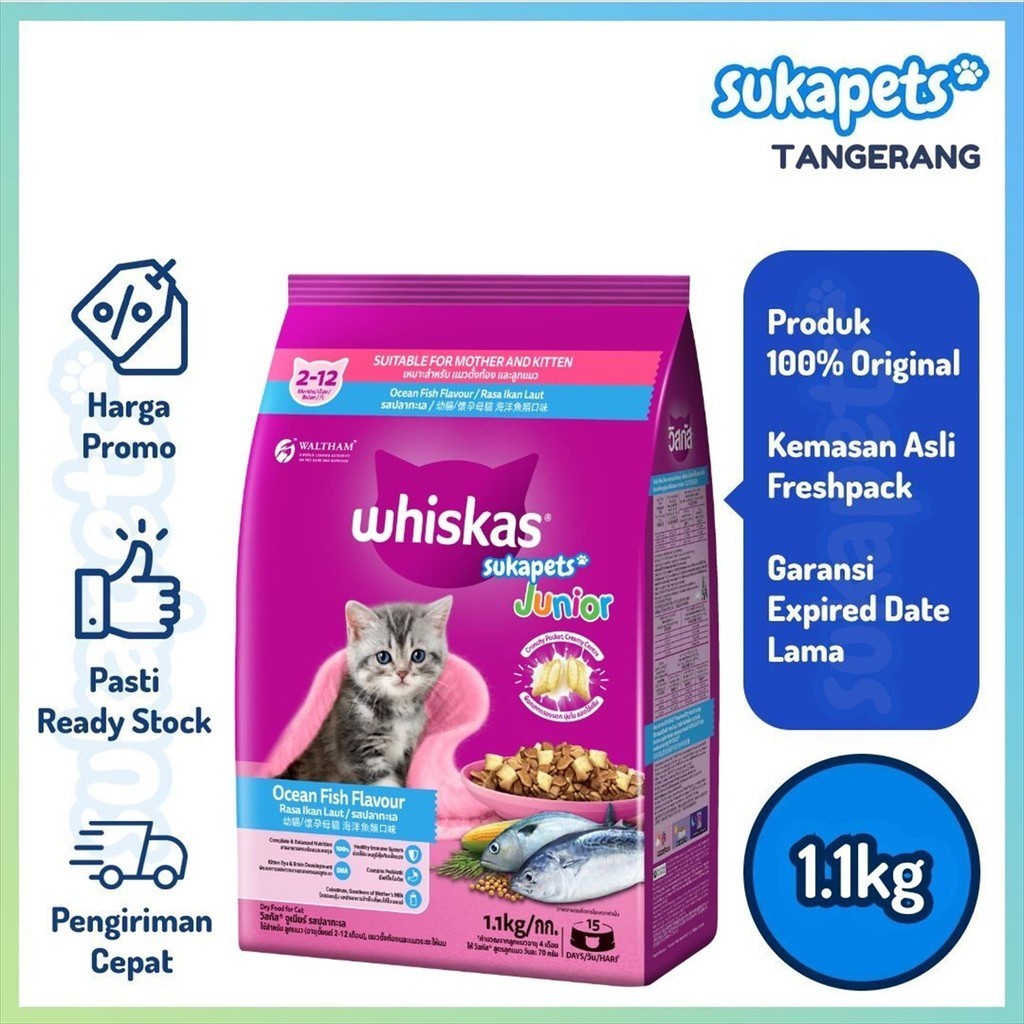 Jual Whiskas Kitten Junior Ocean Fish Dry Food Makanan Kucing 1.1kg ...