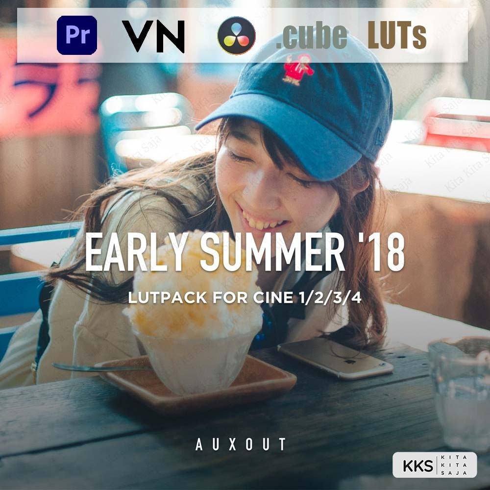 Jual (BISA VN) Japan AUXOUT Early Summer LUT LUTs untuk VN Premiere Pro ...