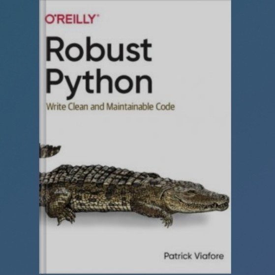 Jual Buku Robust Python | Shopee Indonesia