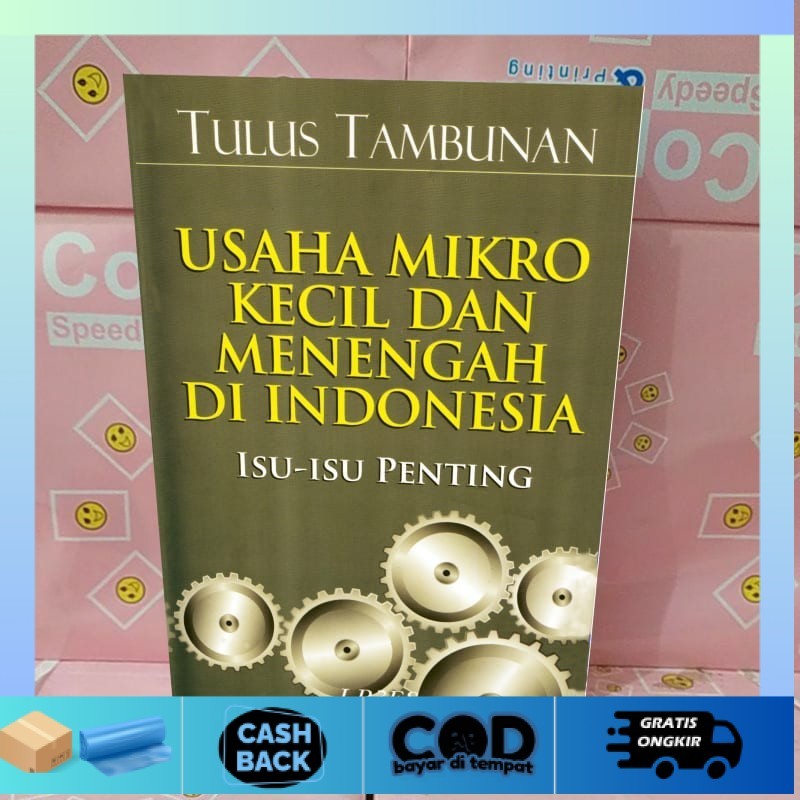 Jual Usaha Mikro Kecil Dan Menengah Di Indonesia Isu - Isu Penting ...