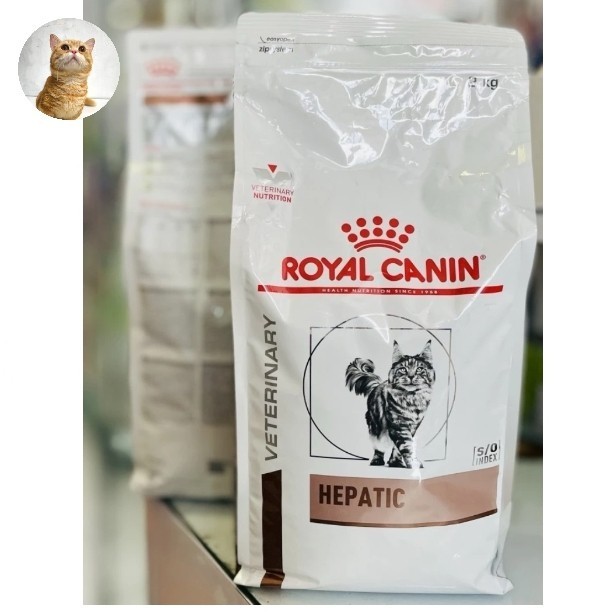 Jual royal canin hepatic cat 2 kg makanan kucing dengan masalah pada ...