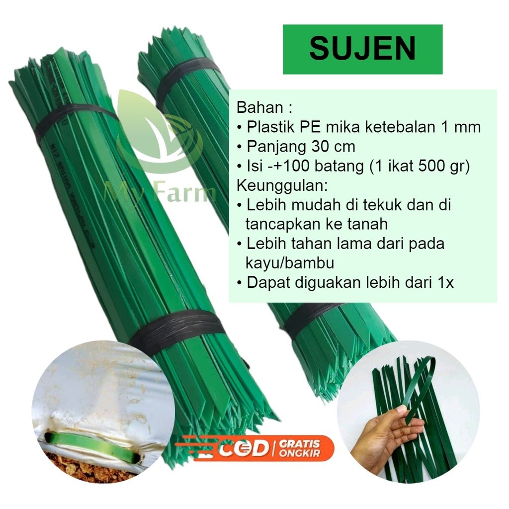 Jual SUJEN Tusuk Mulsa Penjepit Plastik 500g per Ikat Panjang 30-35cm ...