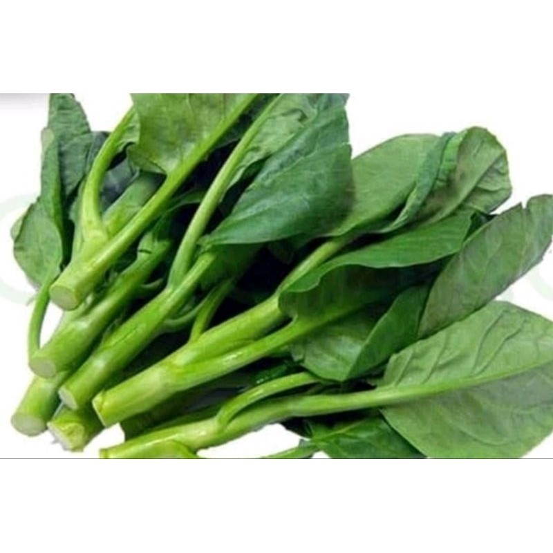 Jual SAYUR Kailan Kailan Garing / Sayur KELAN / KAYLAN / Jamin Segar ...