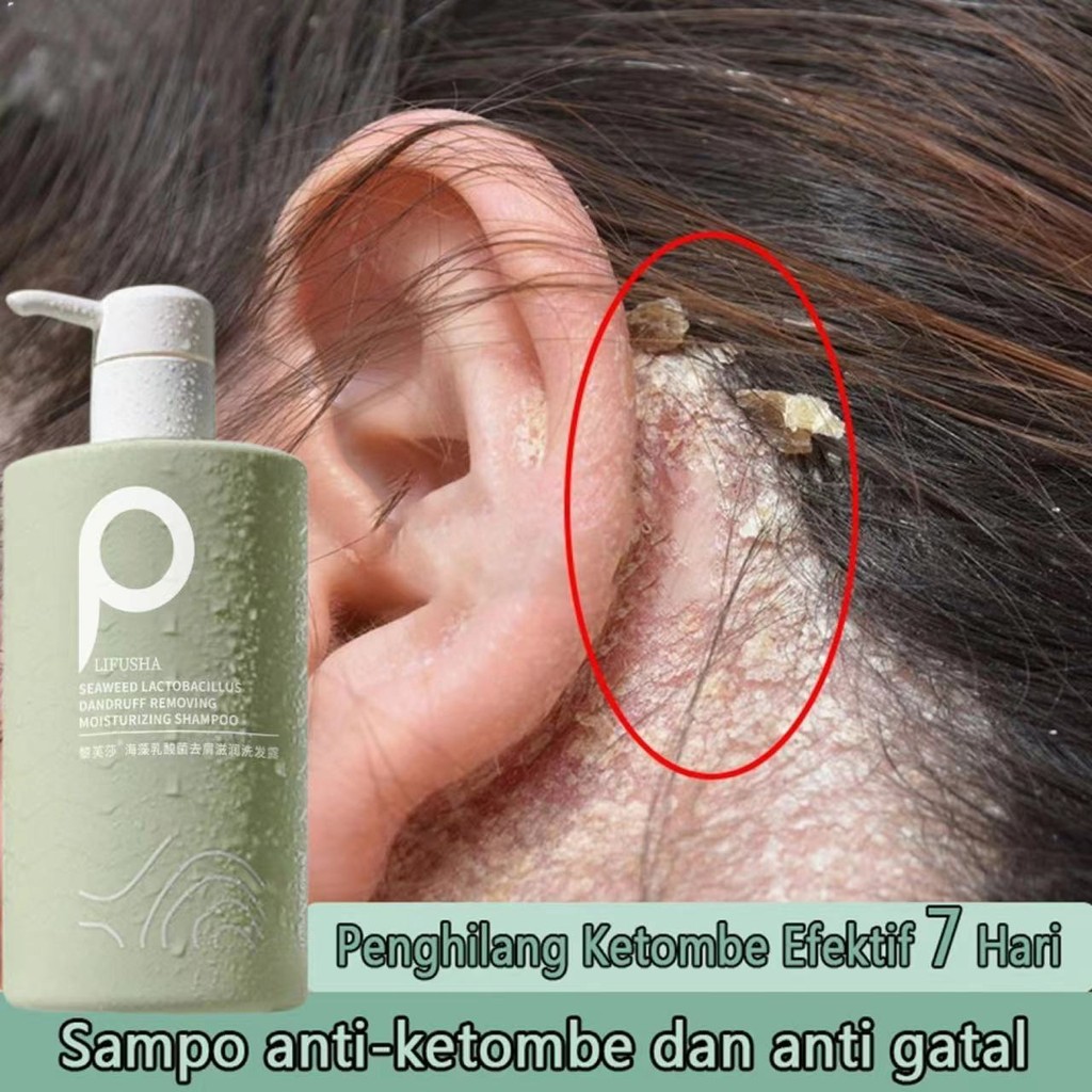 Jual Original Sea Salt Sampo 500ML anti ketombe sampoo ketombe minyak kelapa asli sampo ...