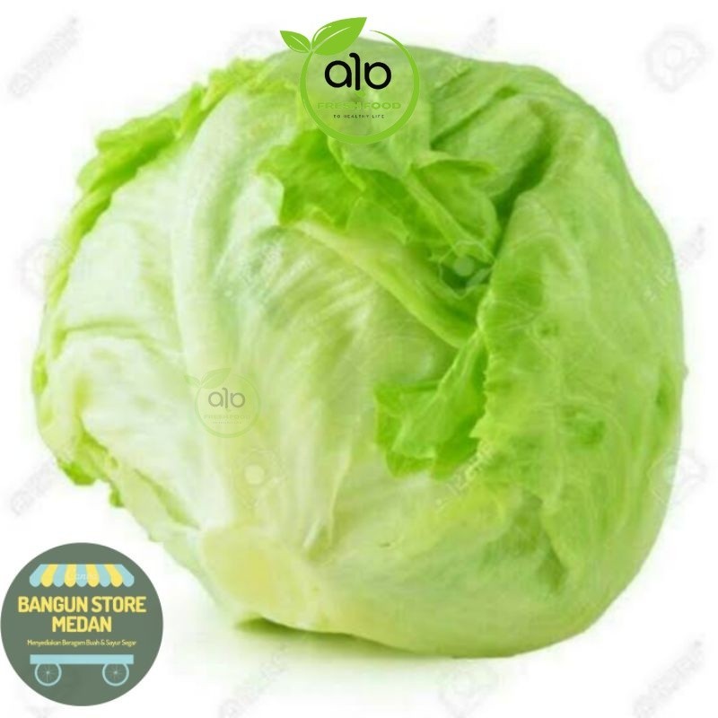 Jual BSM | TERMURAH Lettuce Head / Selada Bulat Segar pack | Sayur ...