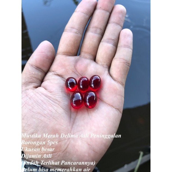 Jual Batu Merah Delima Besar Asli dari Buah Delima Kalimantan 5pcs ...
