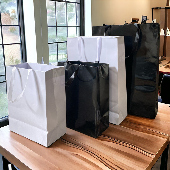 Jual Paper Bag Putih Hitam Bahan Glossy Polos Tali Kain Satin Goodie ...