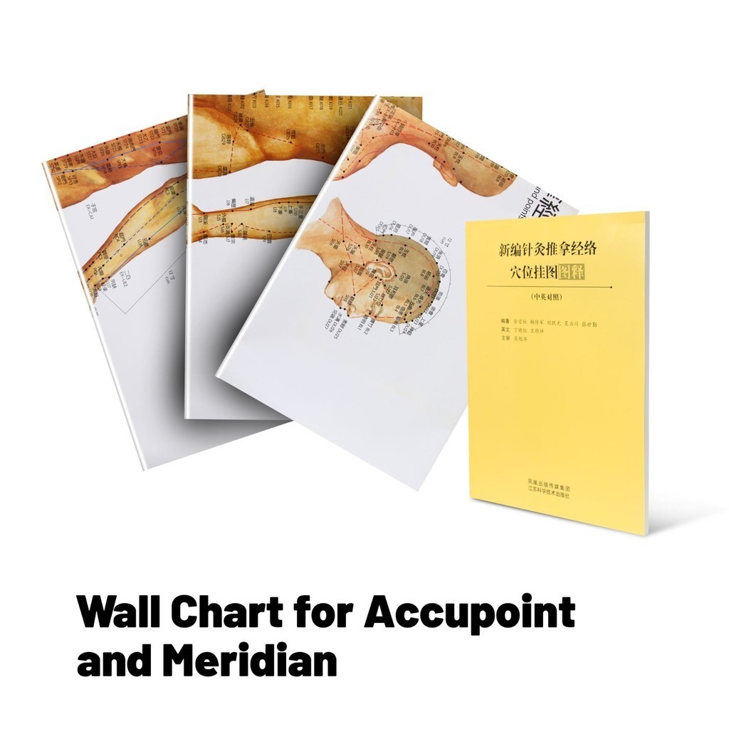 Jual Wall Chart For Accupoint and Meridian - Gambar Poster Titik ...