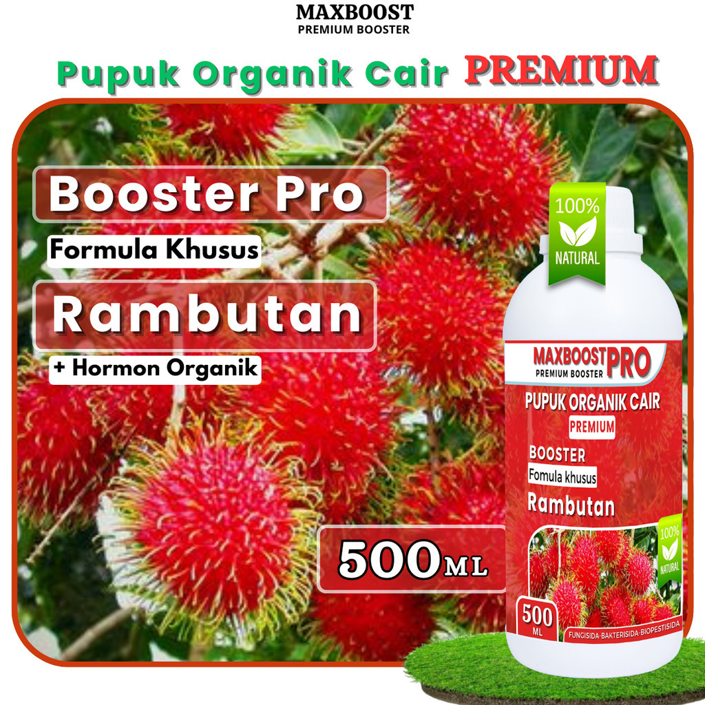Jual pupuk organik cair, plus hormon organik buah rambutan, poc kompos khusus buah rambutan ...