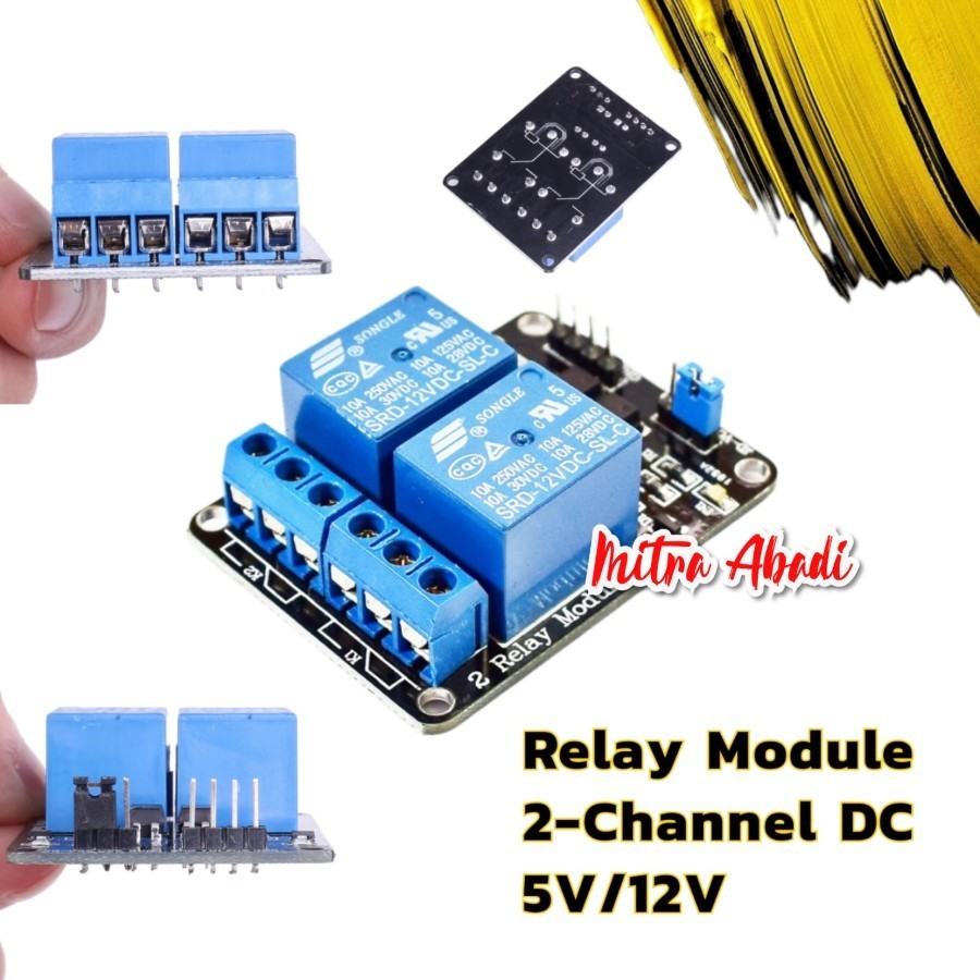 Jual Relay Module 2 Channel DC 5V / DC 12V | Shopee Indonesia