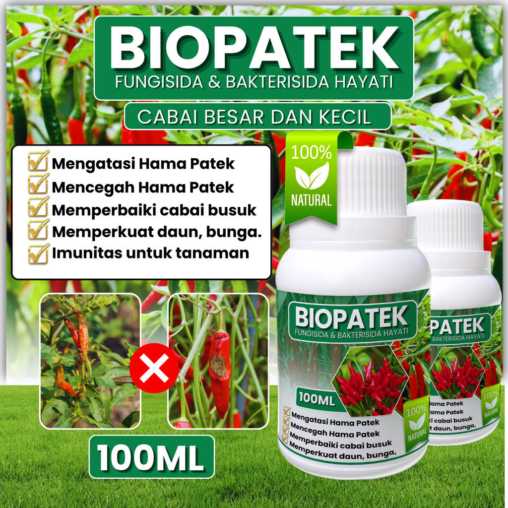 Jual BIOPATEK 100ml Fungisida Hayati Obat Hama Penyakit Patek Pada Cabe ...