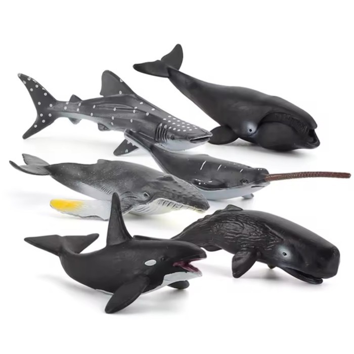 Jual KORI 6Pcs Assorted Whale Narwhal Sperm Whale Orca Blue Whale ...
