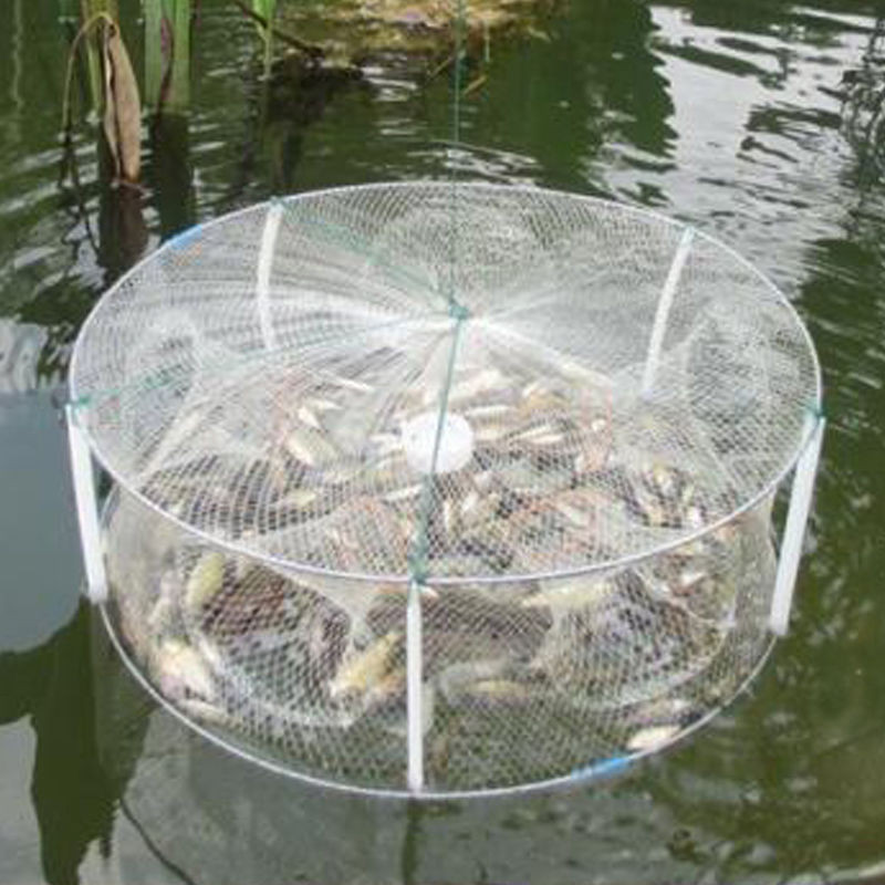 Jual White Fishing Net Round Shrimp Cage Fishing Shrimp Net Folding ...